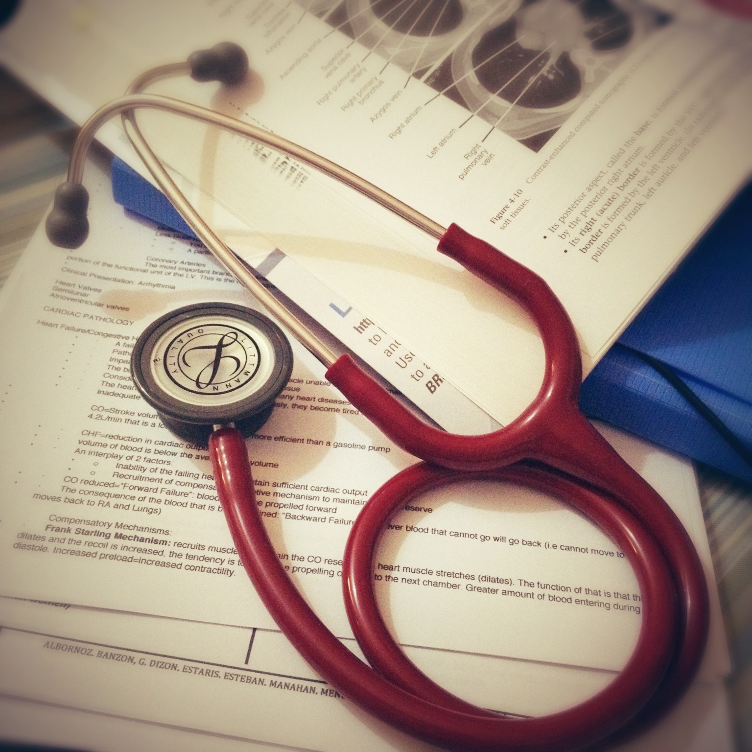 The Student on Placement – A Student Perspective #physiotalk 20th March ...